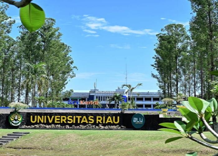Congrats, Tiga Program Studi FEB Unri Raih Akreditasi Internasional ...